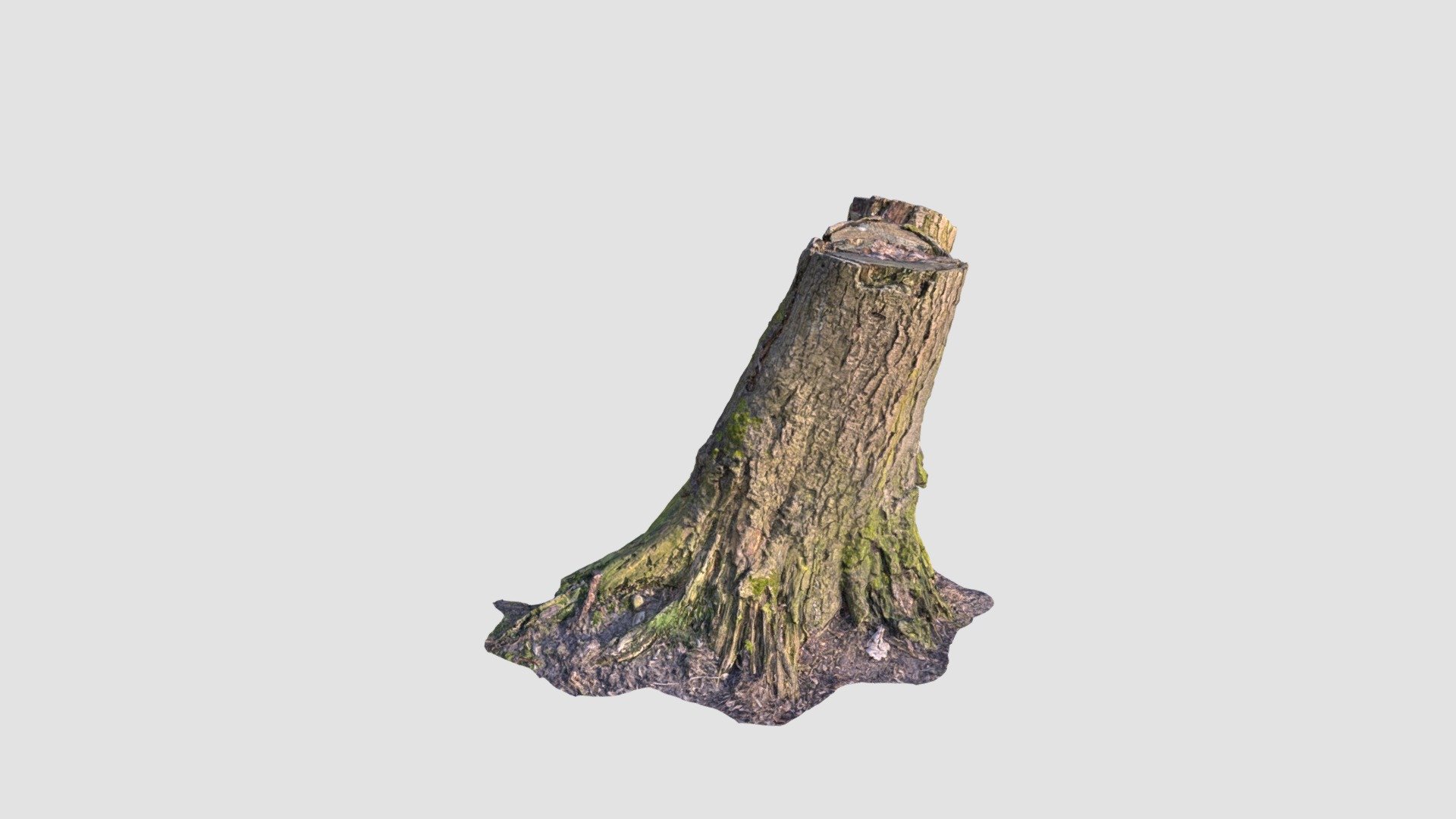 forest element - Buy Royalty Free 3D model by Evermotion [40c1dce ...