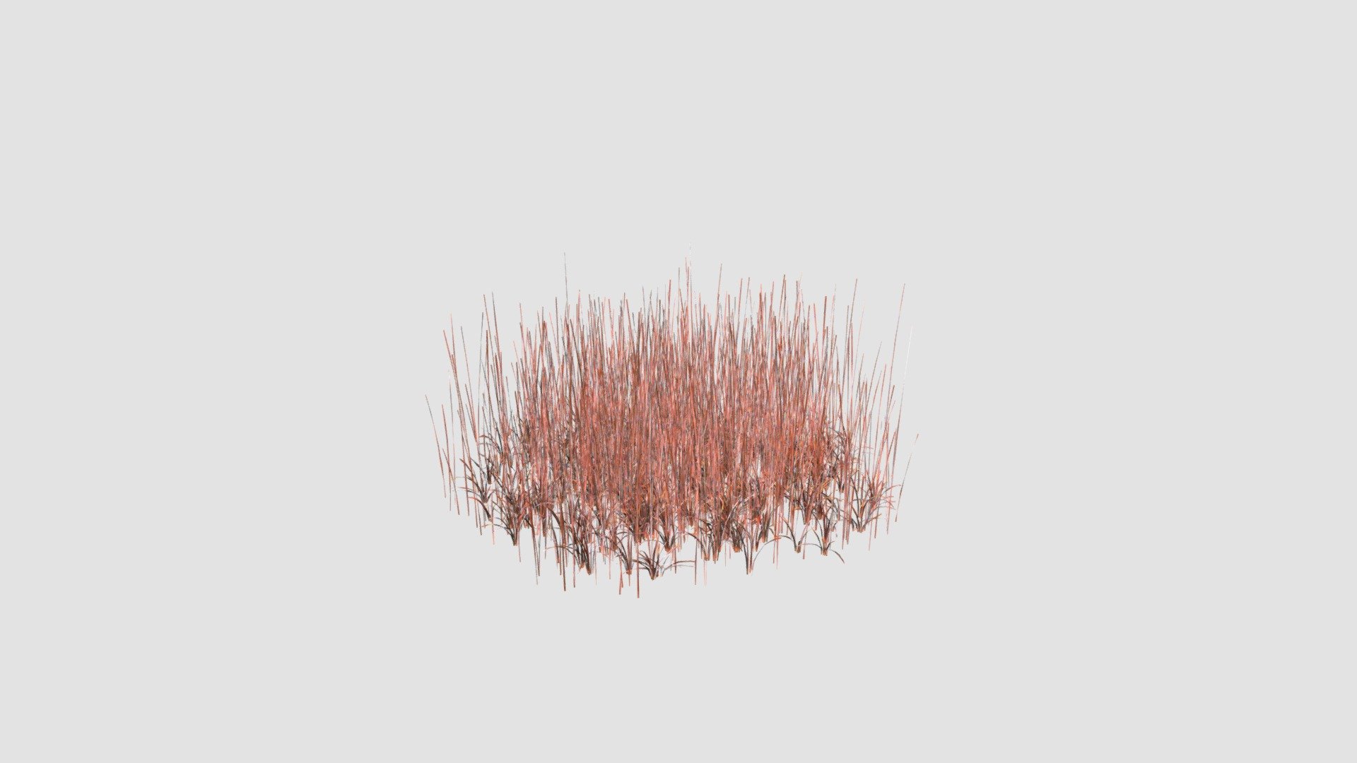 simple grass large - Buy Royalty Free 3D model by Evermotion [40cb478 ...