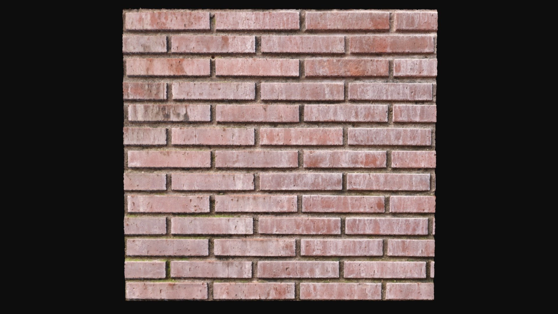 Brick wall with dampness, lime and moss - Scan - Download Free 3D model ...