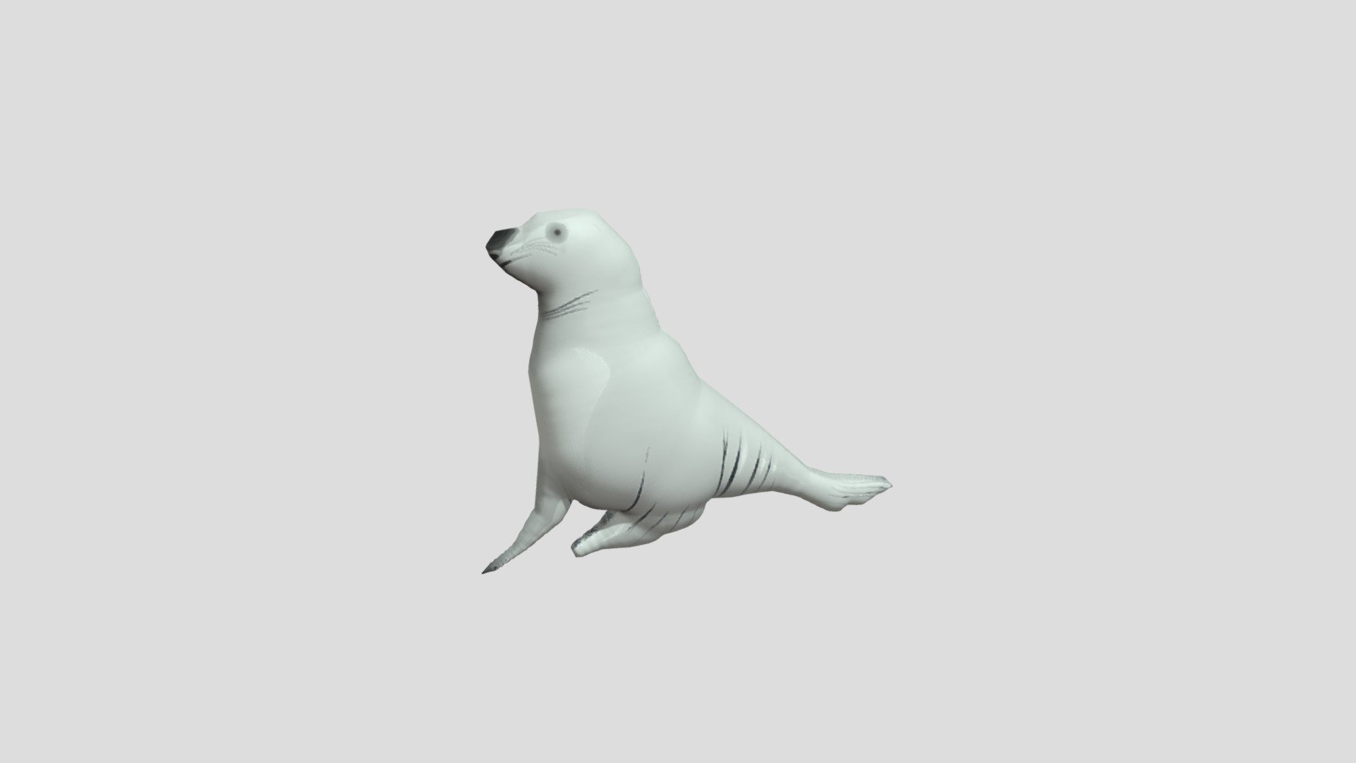 anjing laut diska - 3D model by diskaandani [40d72a5] - Sketchfab