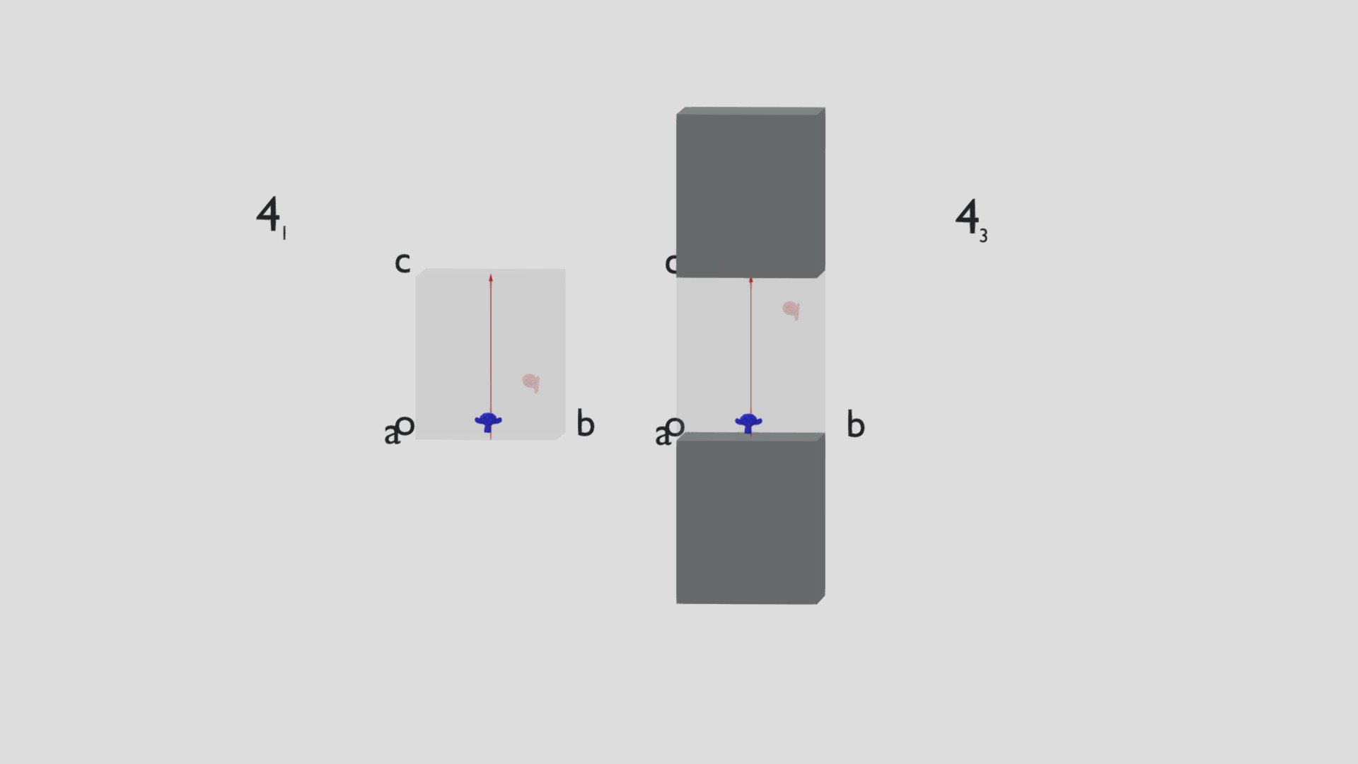 4₁ and 4₃ Screw Axes - Download Free 3D model by Michael Aristov ...