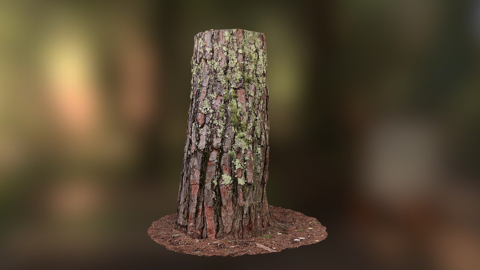 Tree Log - Download Free 3D model by Aupuma [40e34a7] - Sketchfab