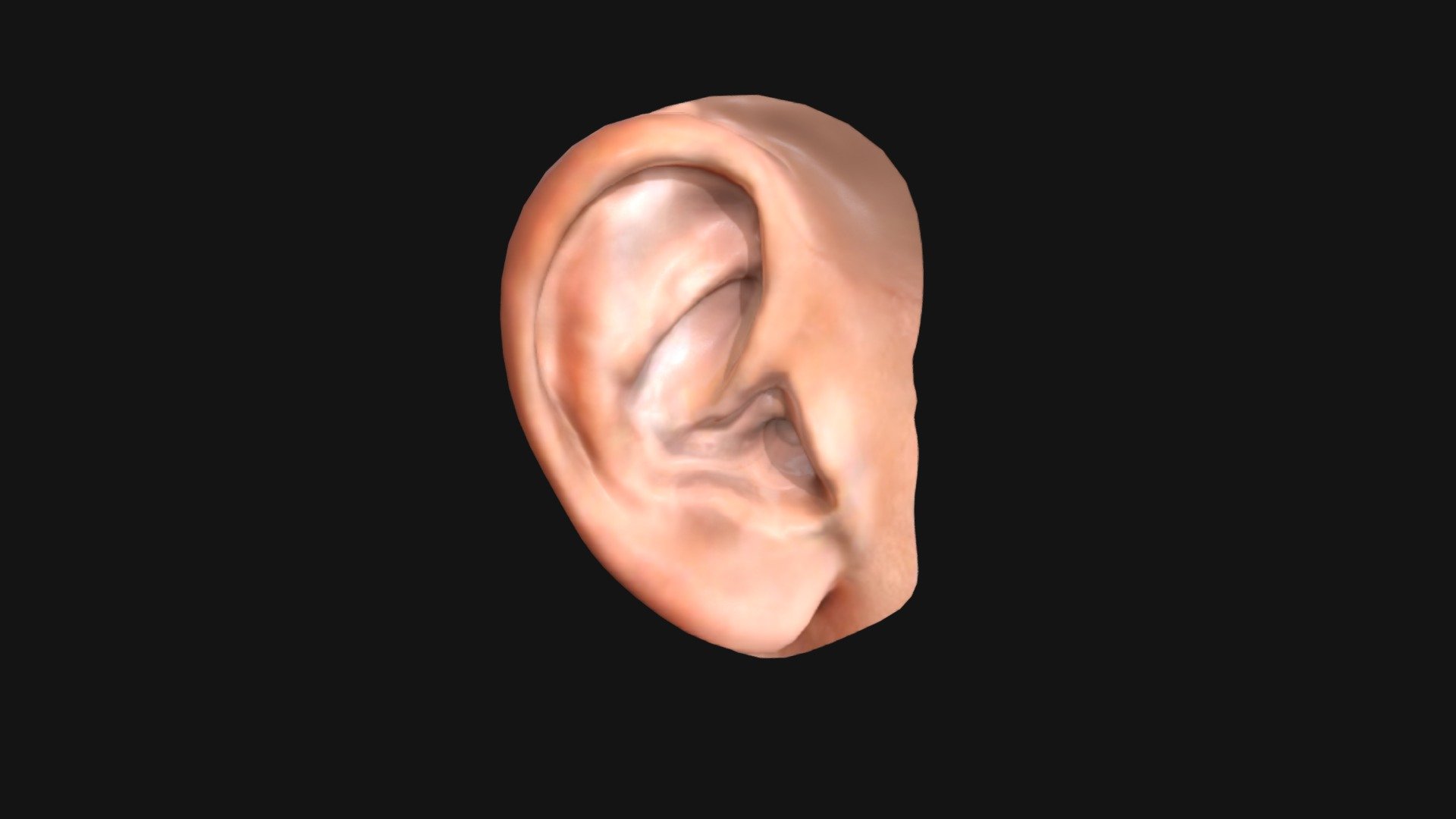Ear test - 3D model by Neronova [40e3c48] - Sketchfab