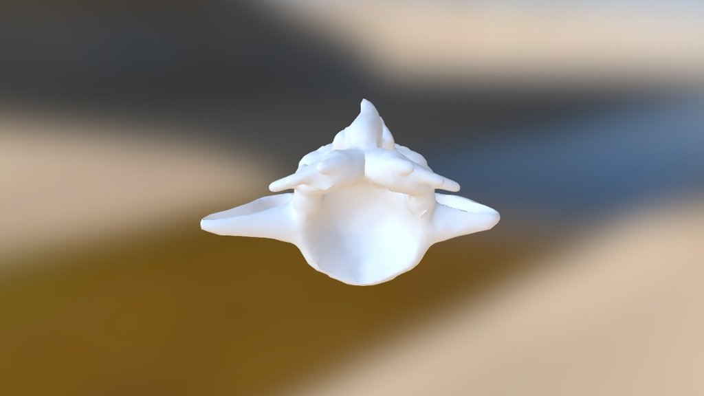 1823 - 3D model by leopoly1 [40f7e4c] - Sketchfab