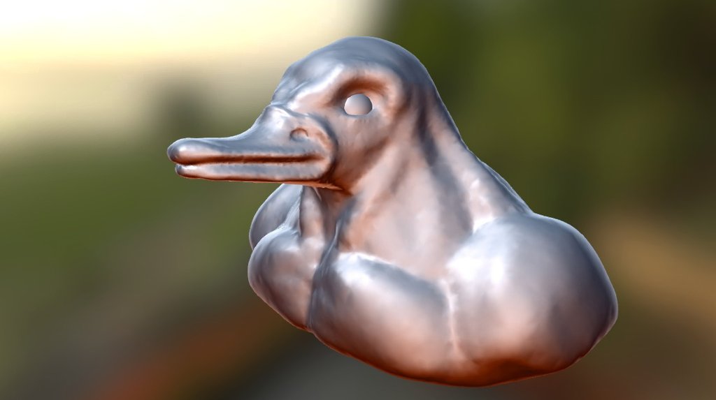 The Duck - 3D model by teacherx555 [40fb022] - Sketchfab