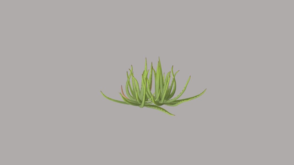 1- Komarika - 3D model by rishnip [41036d1] - Sketchfab