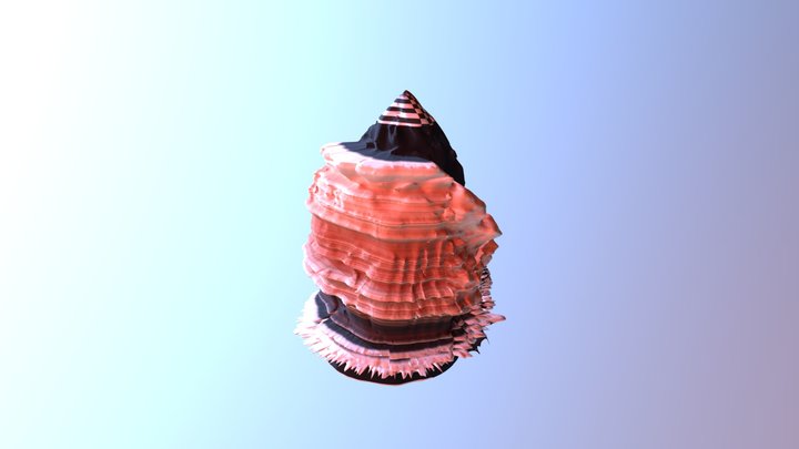 Grounded 3D models - Sketchfab