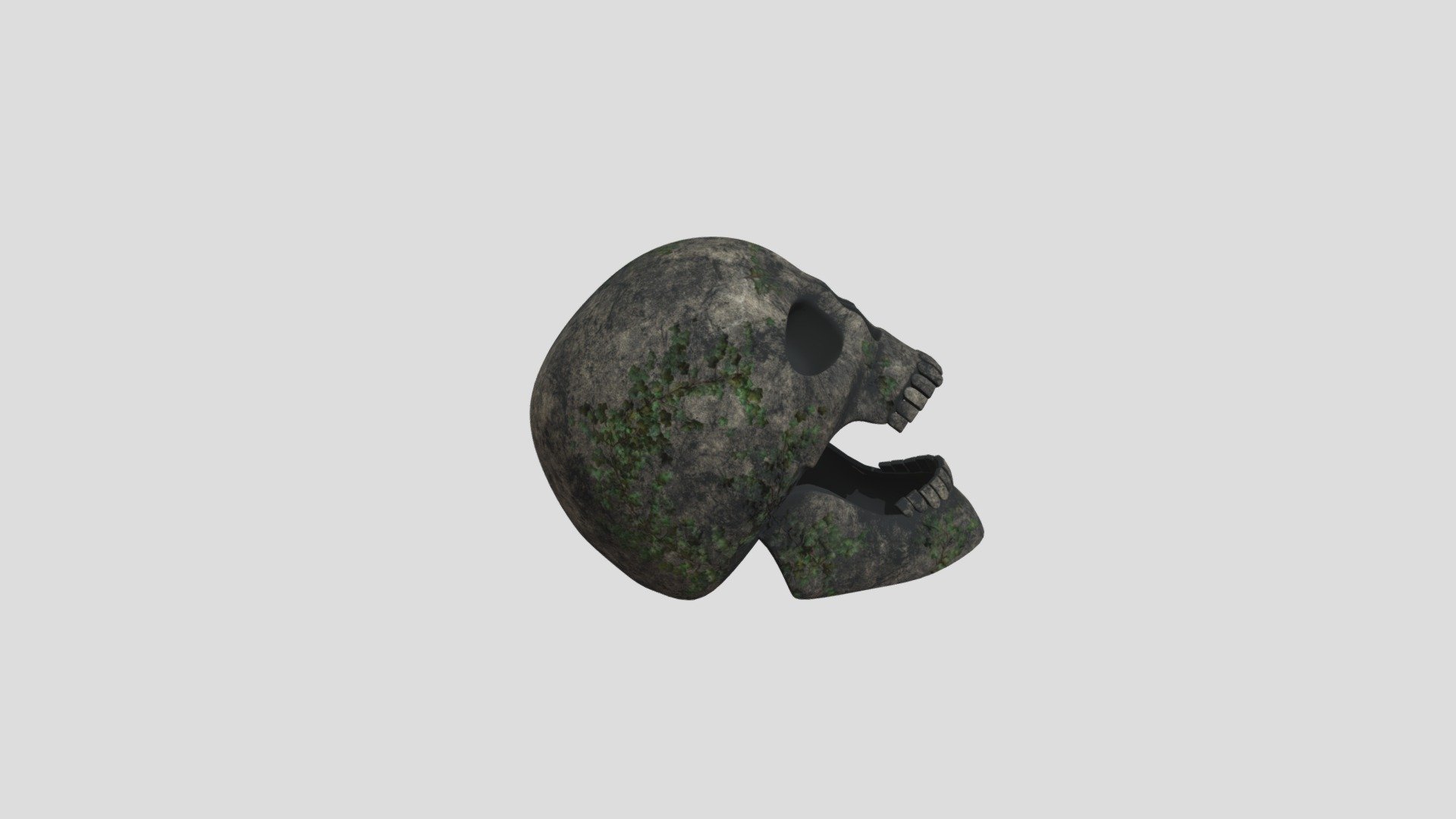 An Old Skull - 3D model by Charlotte Bentley-Corley ...