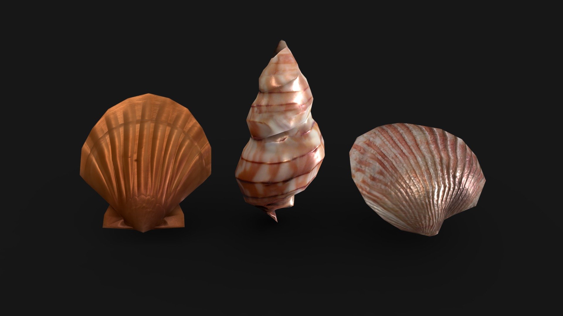 Seashell - Download Free 3D model by TraianDumbrava [410be9c] - Sketchfab