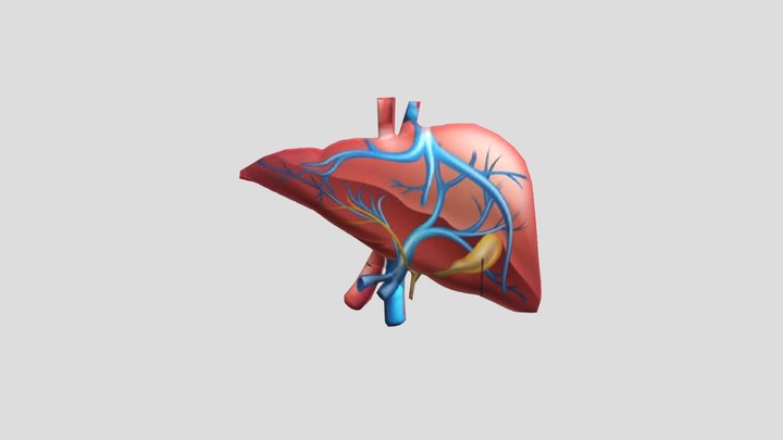 Manusia 3D models - Sketchfab