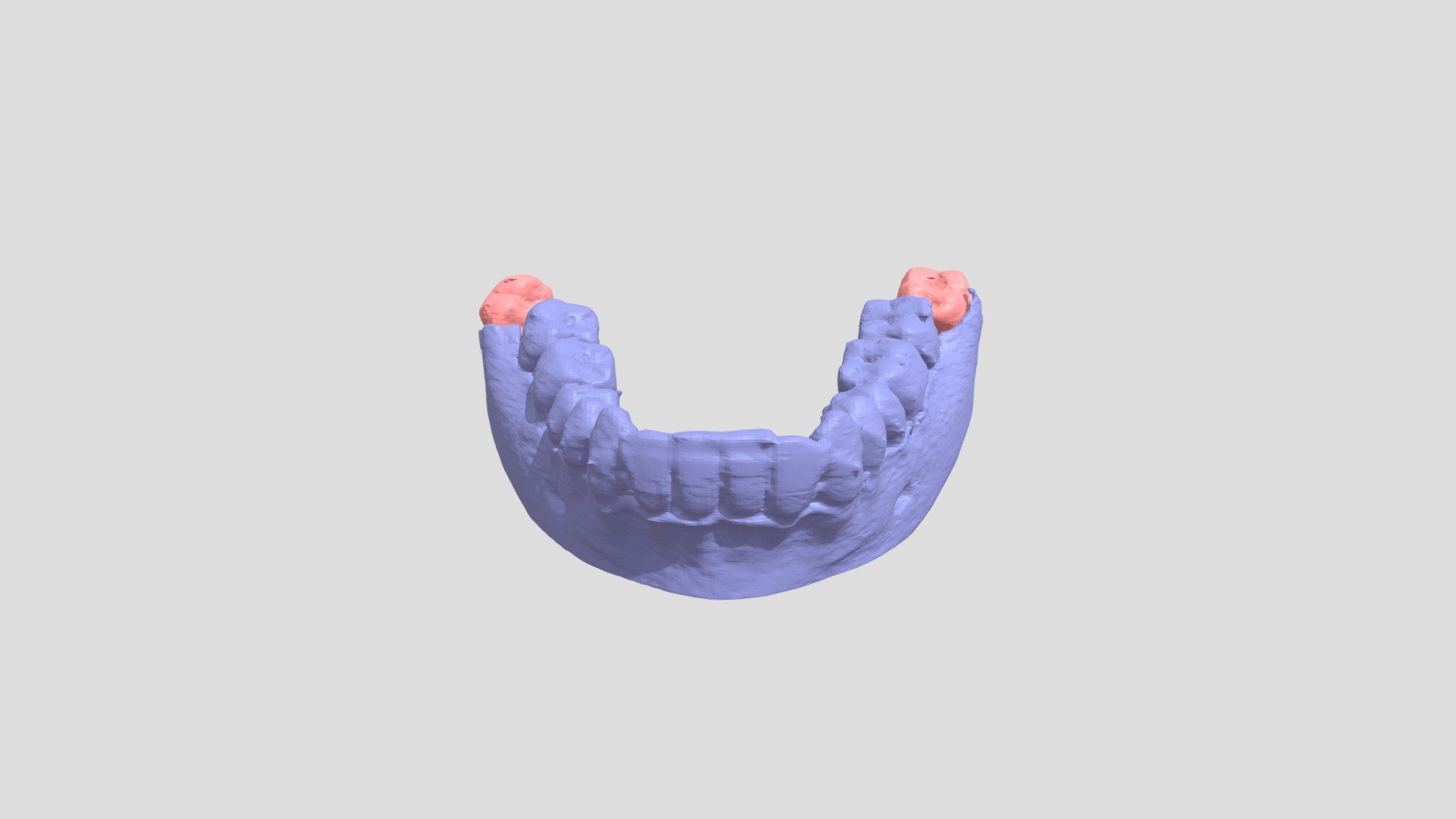 Teeth - 3D model by eleonora (@eleonora.costagliola) [411f837] - Sketchfab