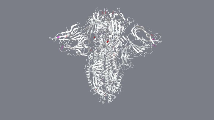 Chimerax 3D models - Sketchfab