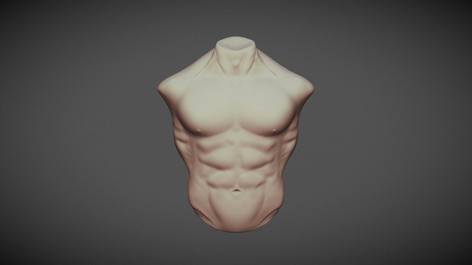 Male Torso - 3D model by Reidlos [412a29e] - Sketchfab