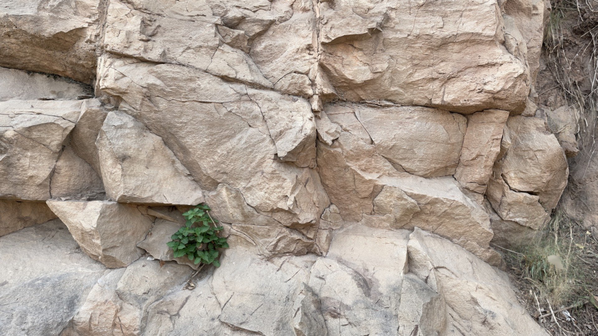 Cliff Wall Portion - 3D model by Majzim [4133396] - Sketchfab