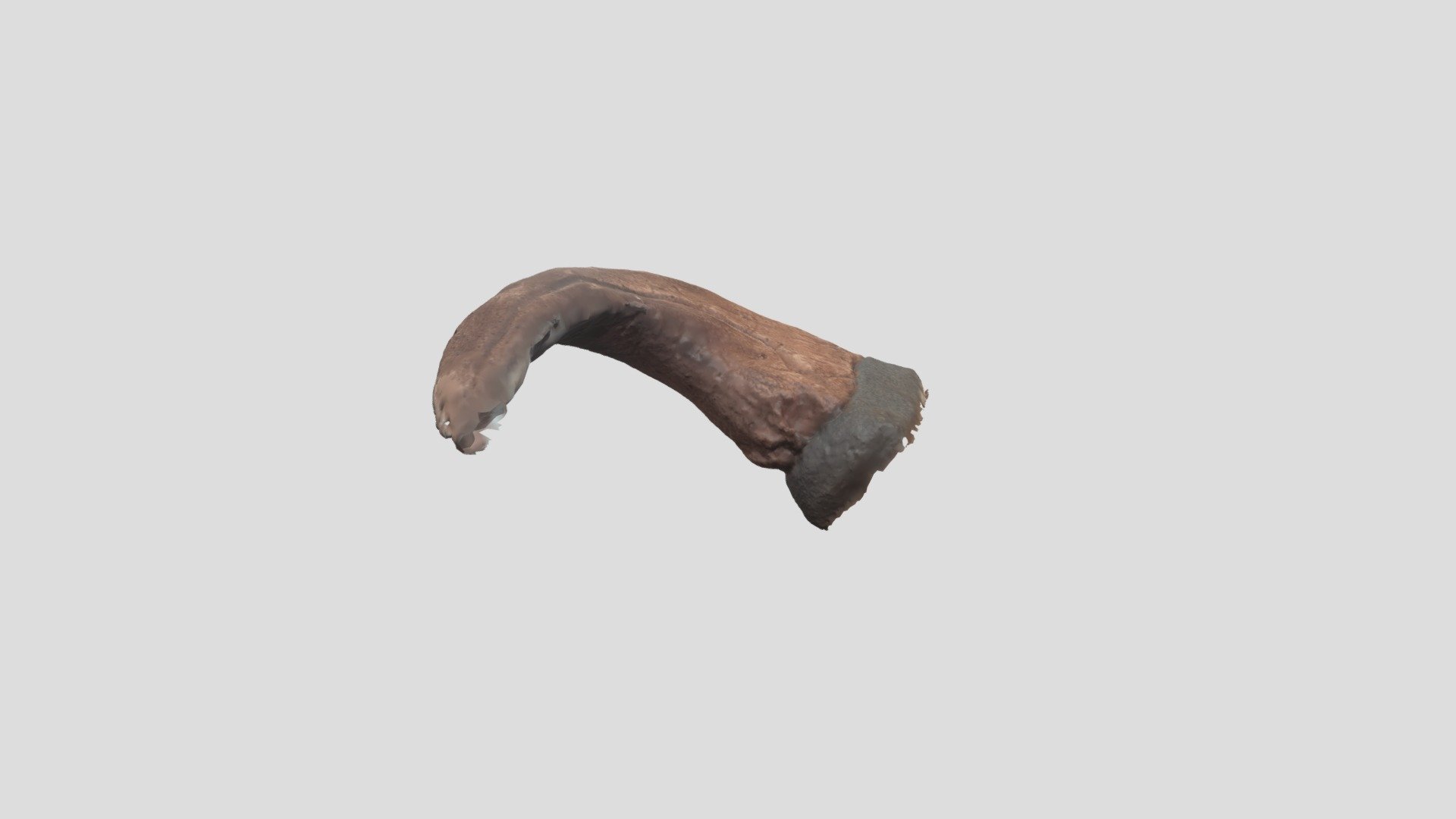 Allosaurus Claw Model - 3D model by wamyers2 [4137eb7] - Sketchfab