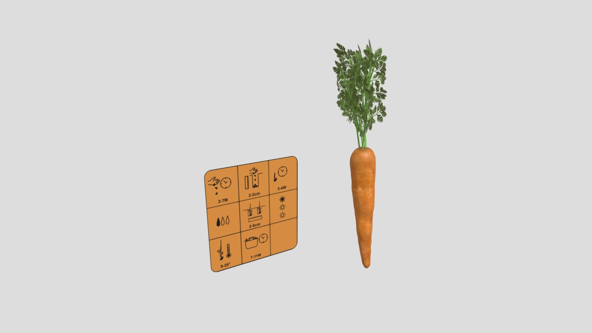 3_final_carrot - Download Free 3D model by karlosdrechsler [4144a60 ...