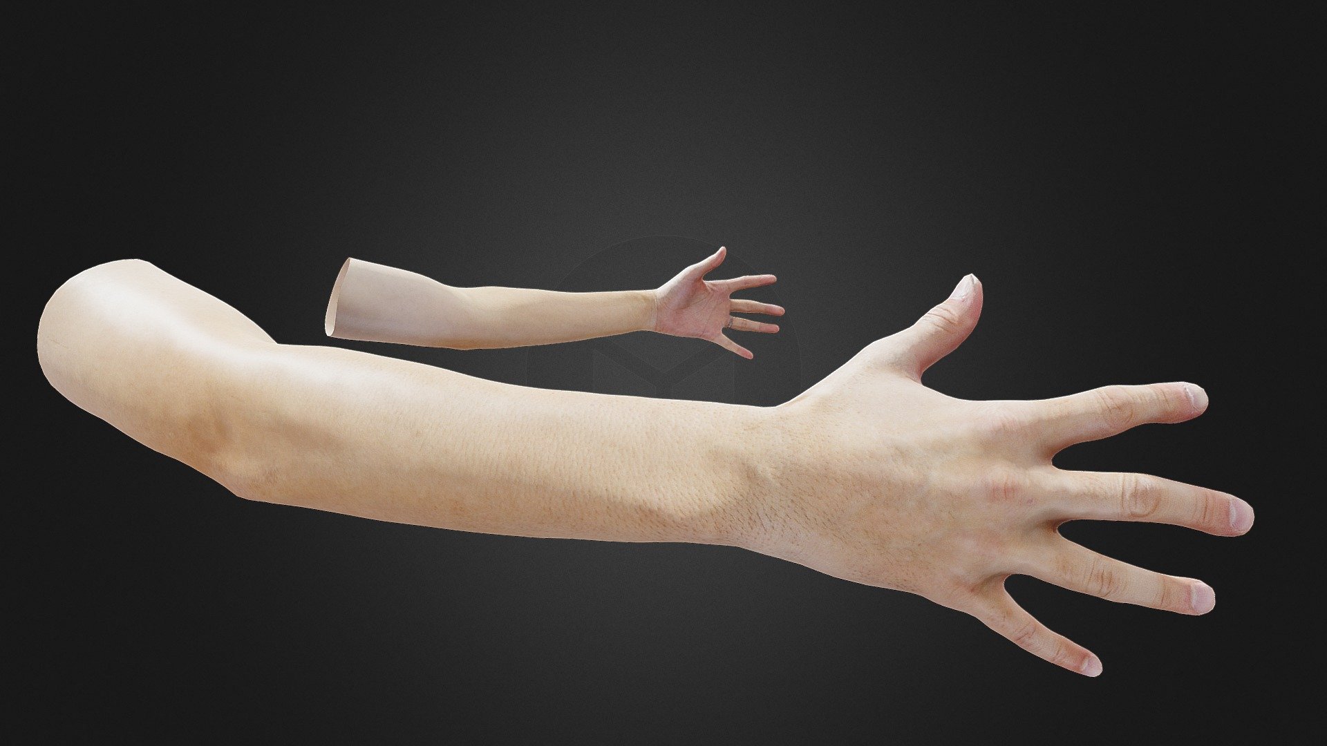 Hand sample (3D Scan) - 3D model by 3D scan studio "iris" (@ss-iris ...
