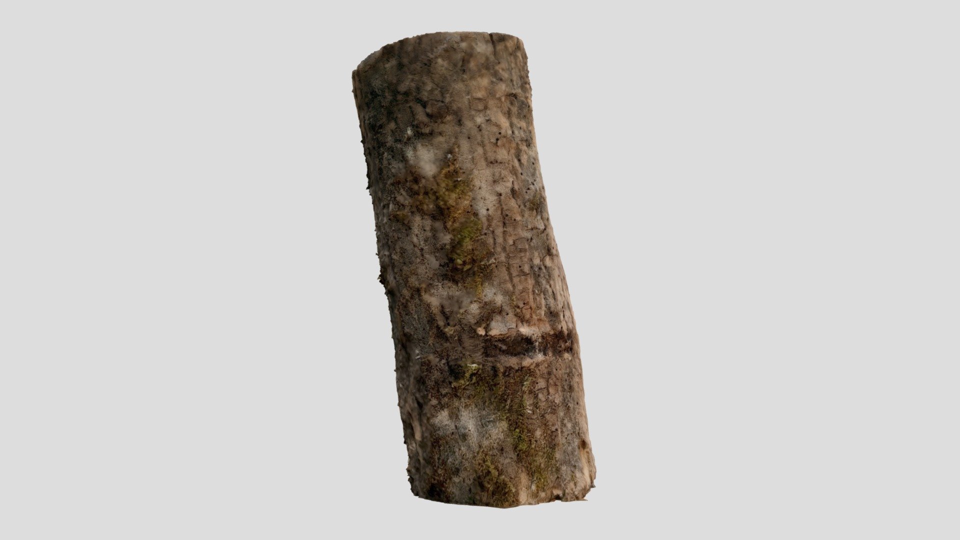 Tree log - Download Free 3D model by Niemow1 [414e507] - Sketchfab