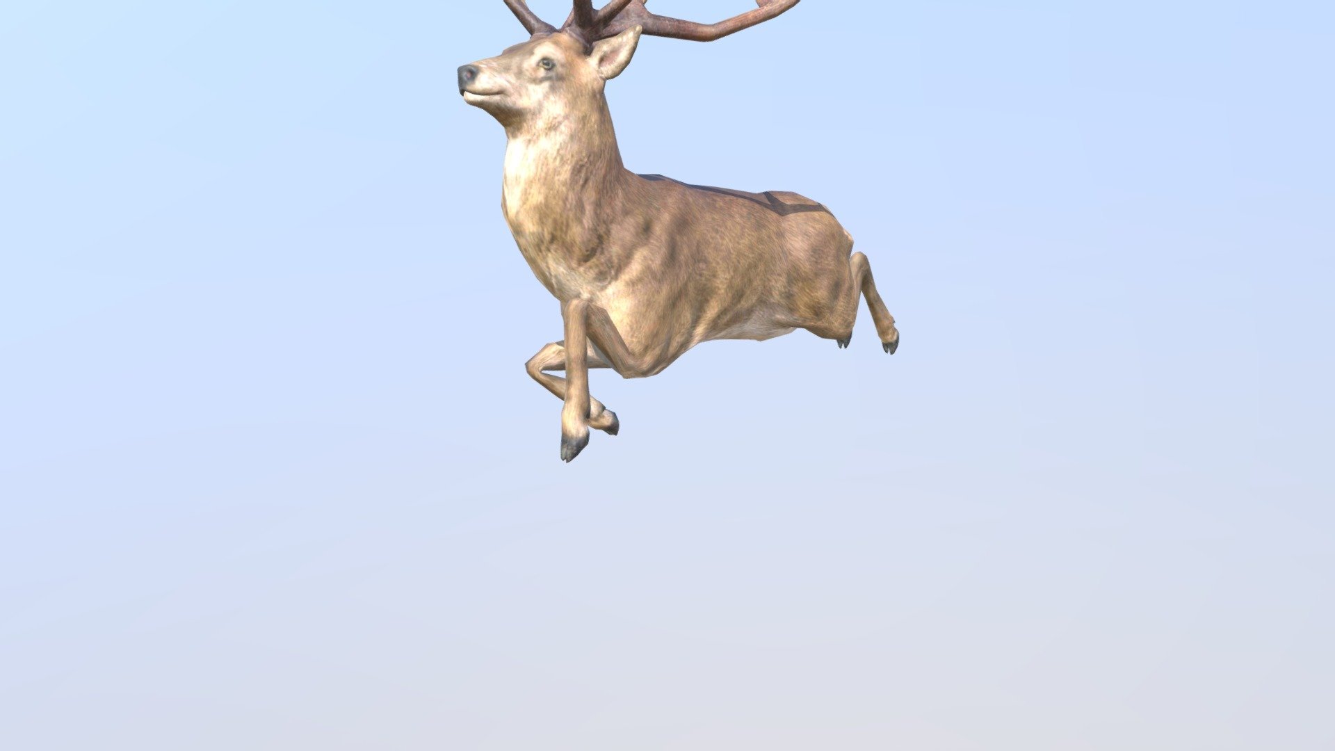 GFP: Deer - 3D model by halloweeks [414f410] - Sketchfab