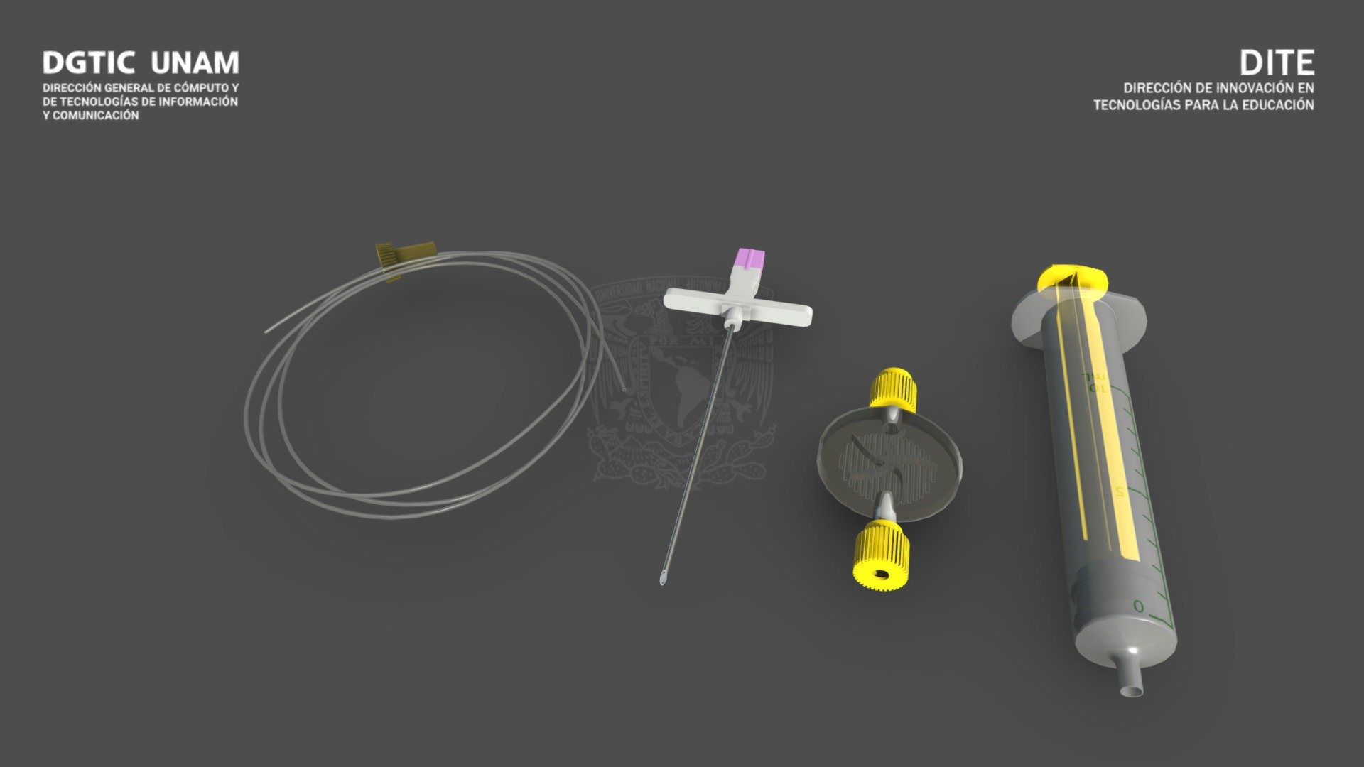 CT21_Catéter epidural - 3D model by UNAM | DGTIC | DITE | DRDE (@DRDE ...
