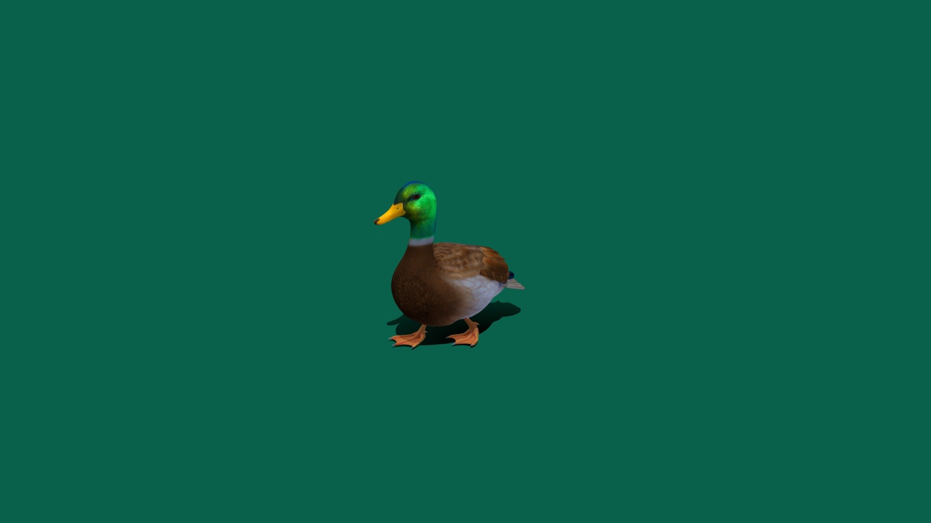 Duck_Walk (Free) - Download Free 3D model by Nyilonelycompany [415584b ...