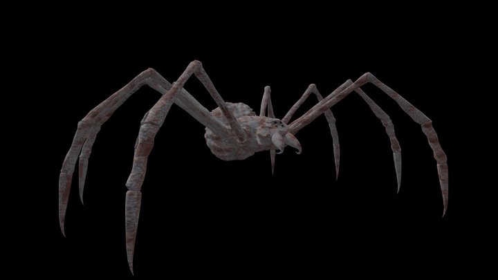 Spider-creature 3D models - Sketchfab