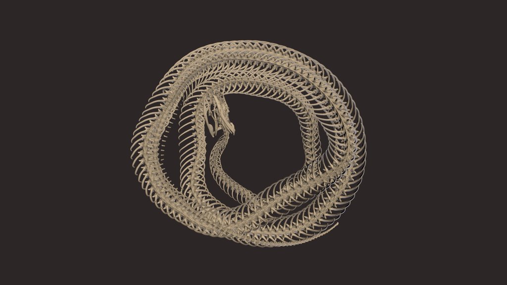 snakes - A 3D model collection by MDestro - Sketchfab