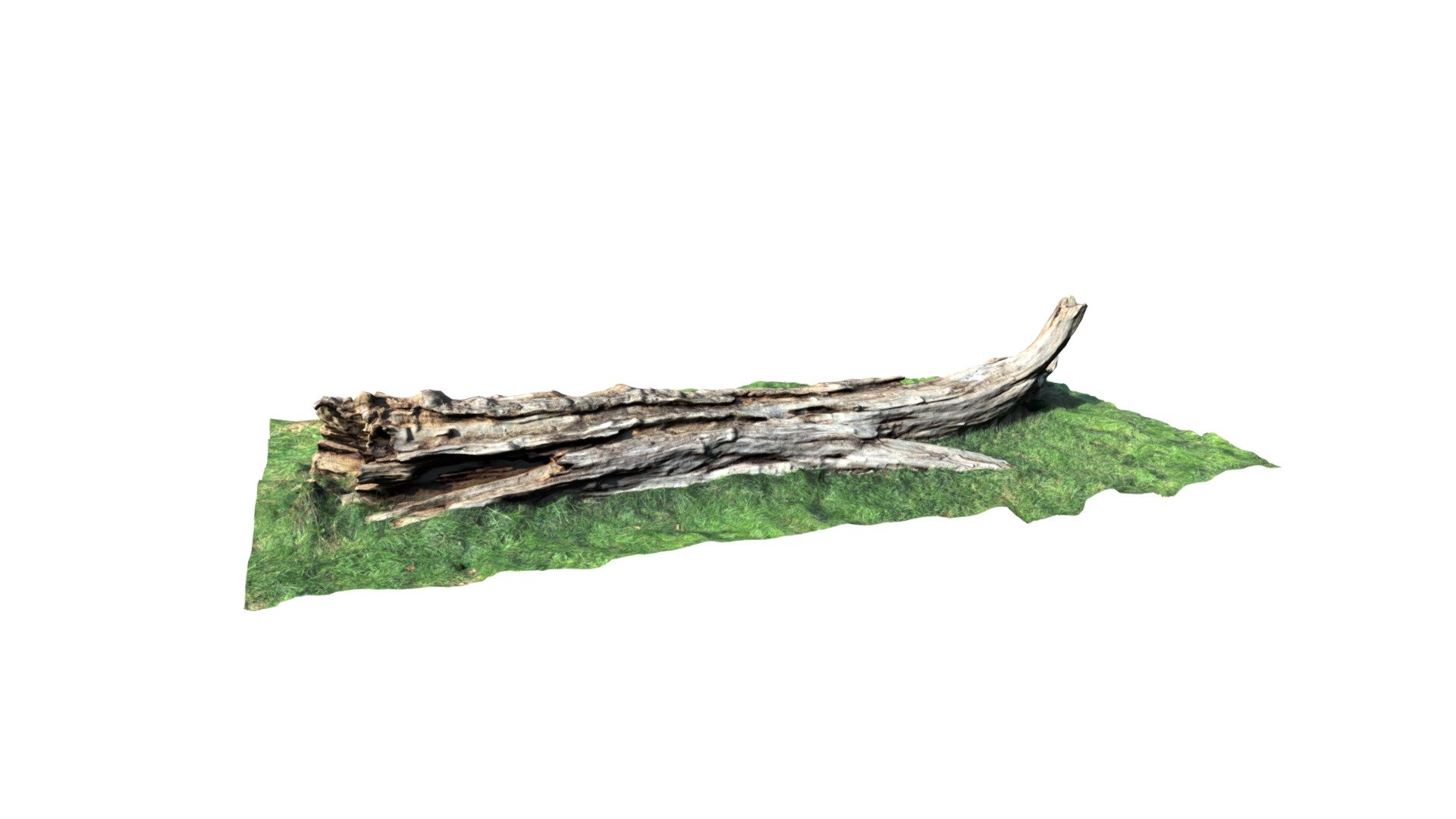Large tree log - 3D model by rakelalme [4164779] - Sketchfab