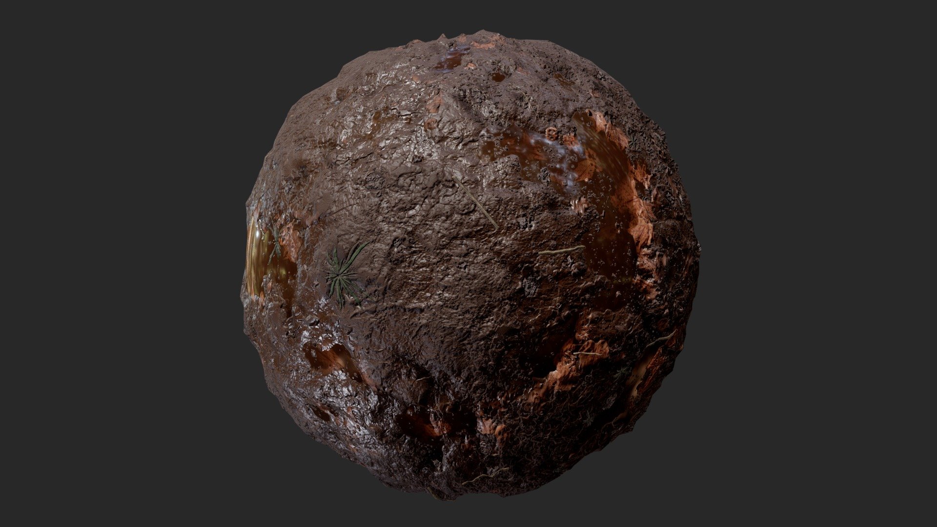 Muddy Forest Ground - 3D model by Connor Reynolds (@connorreynolds21 ...