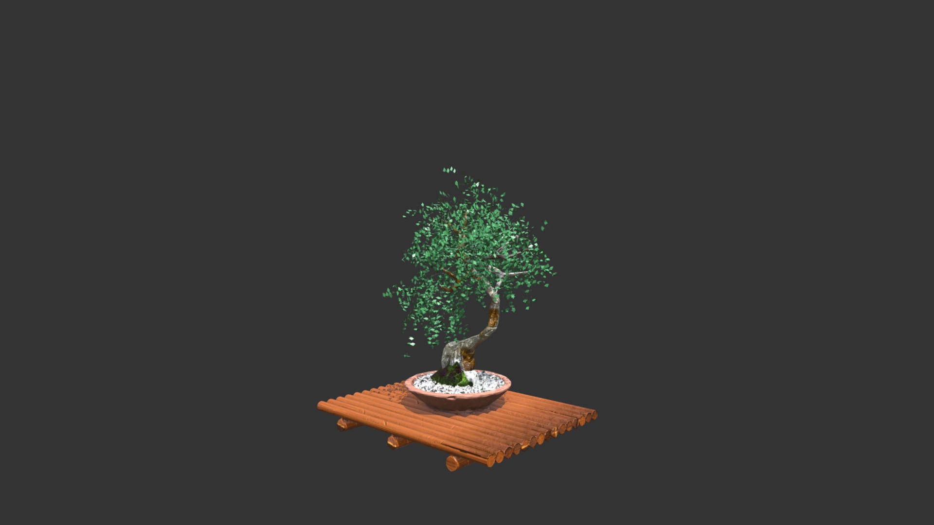 Bonsai Tree - 3D model by CJCoolidge [416b390] - Sketchfab