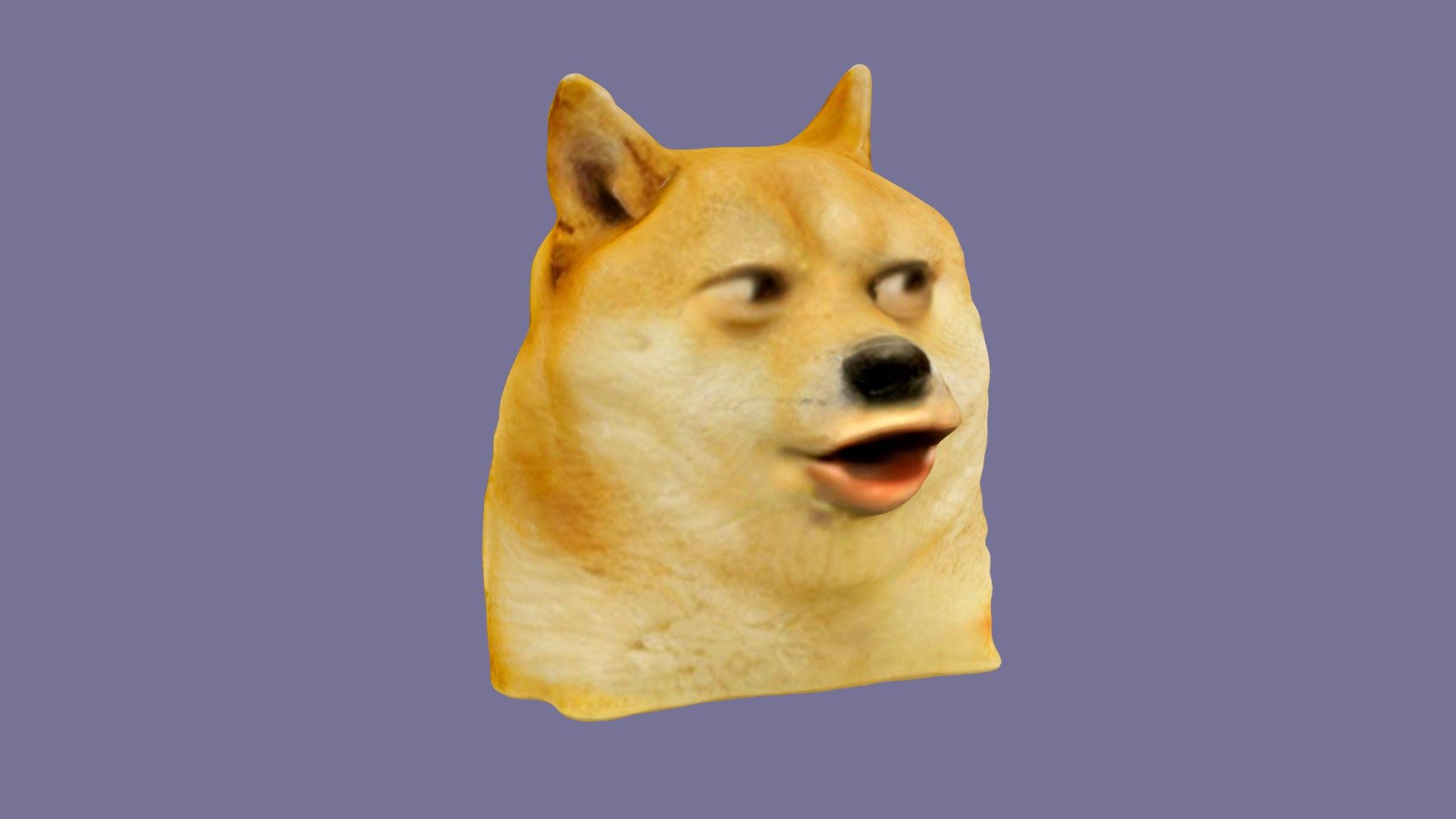 Doge Poggers - Download Free 3D model by NxFinity (@NxFinityAnimations ...
