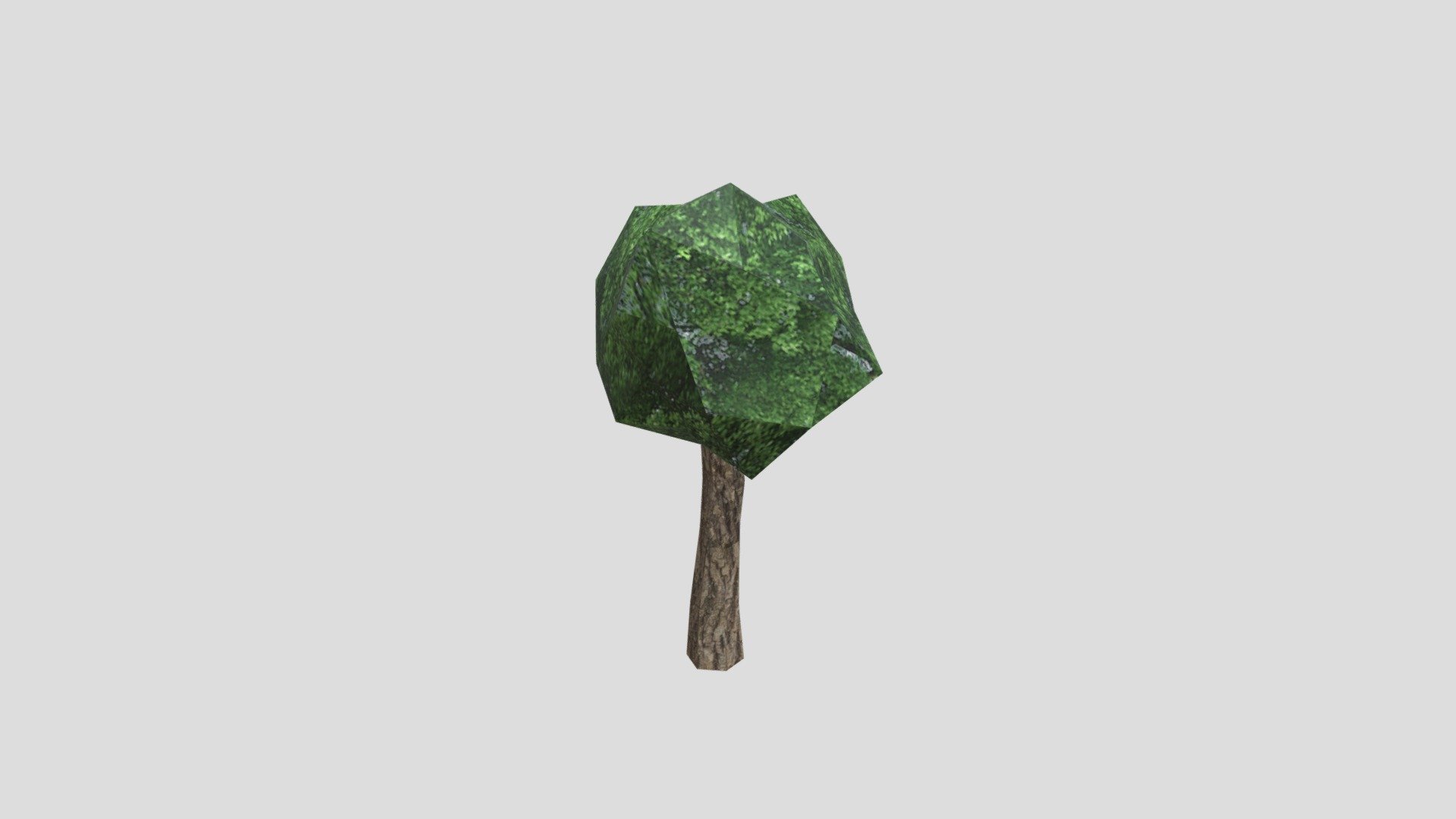 Tree 1 - Download Free 3D model by ho226 [41706f2] - Sketchfab
