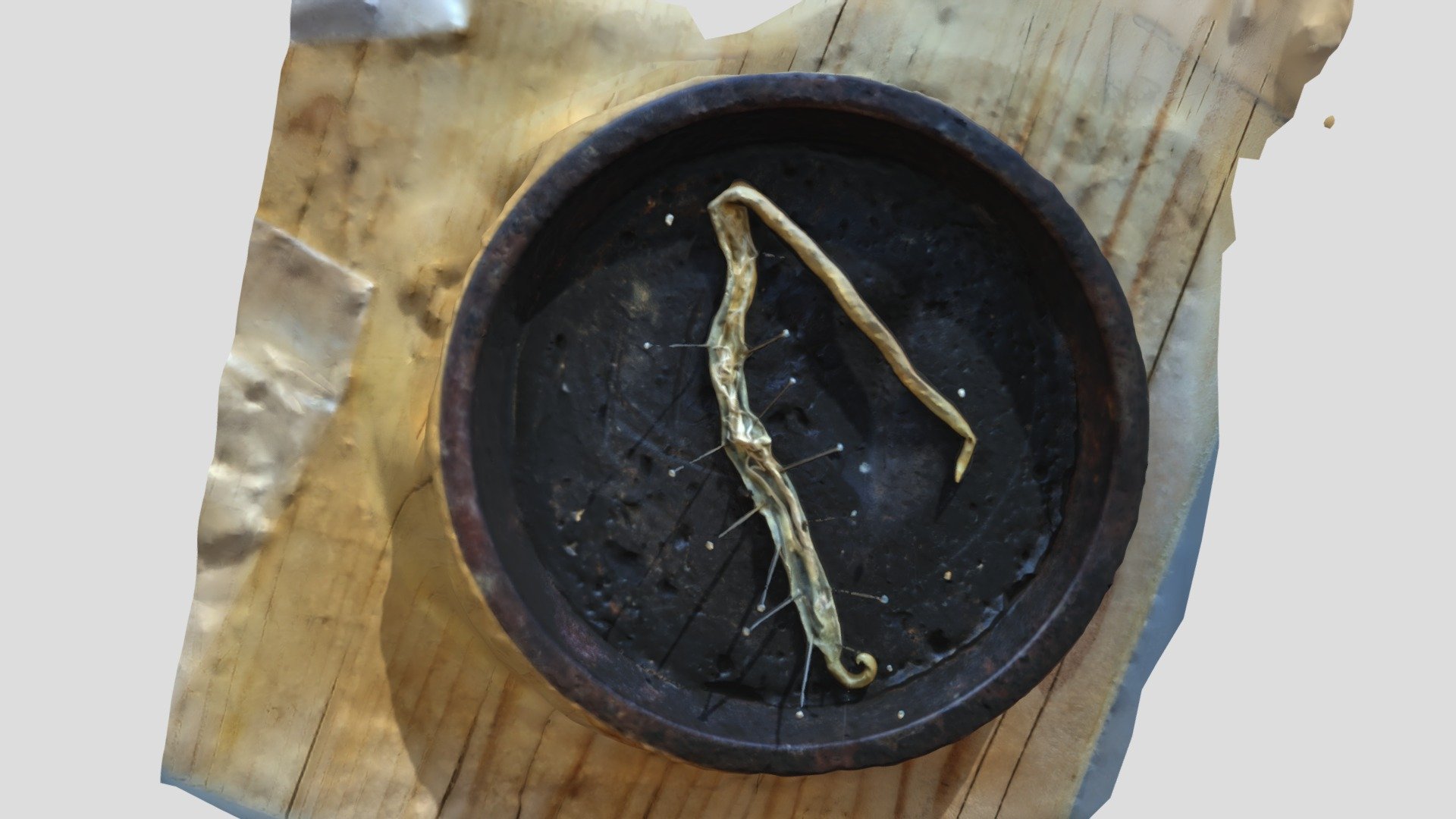 Nematode dissection 2022 - Download Free 3D model by PeterFalkingham ...