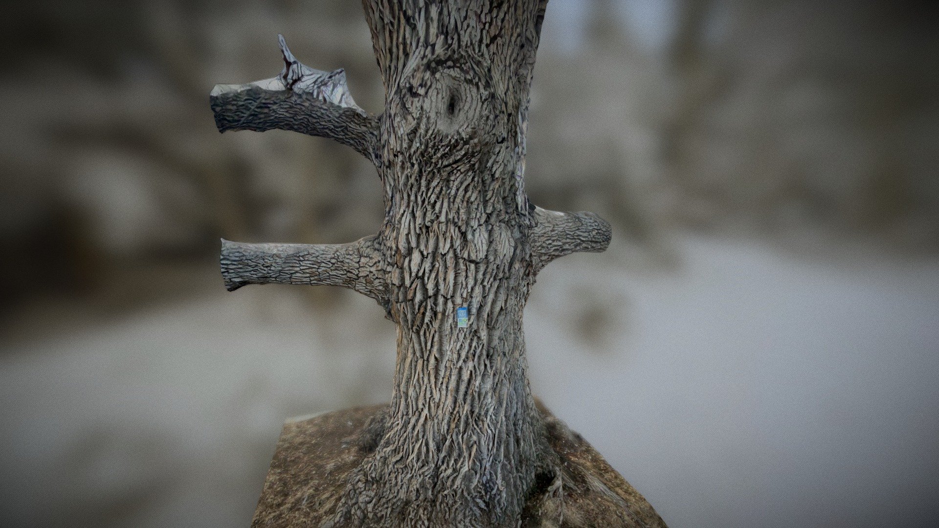 Big Ash - Download Free 3D model by dronepros [417c7df] - Sketchfab