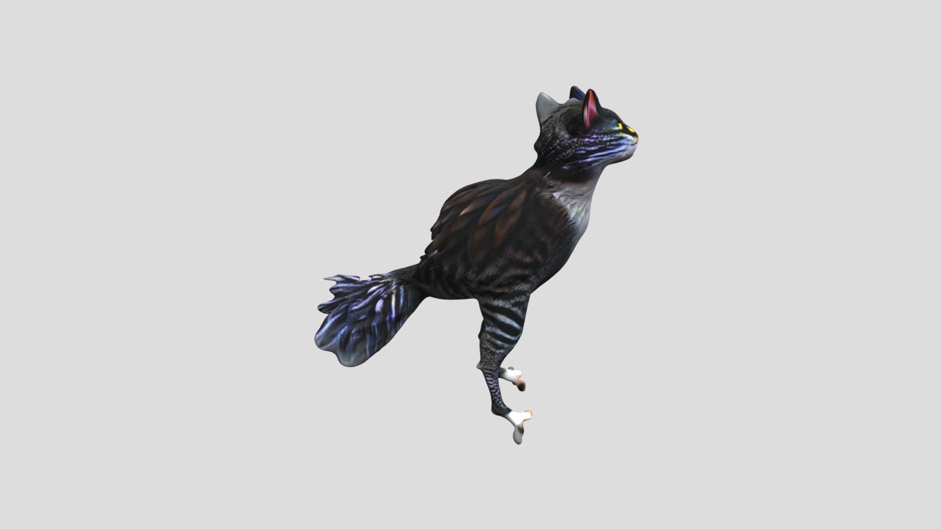 cat-bird hybrid v6 - 3D model by The Hybrid Animal (@aelde) [417deee ...