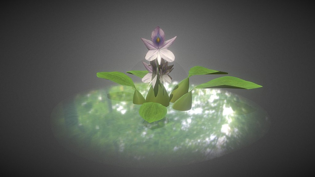 [SGP] Water Hyacinth Flower - 3D model by TheAppleCake [417f780 ...