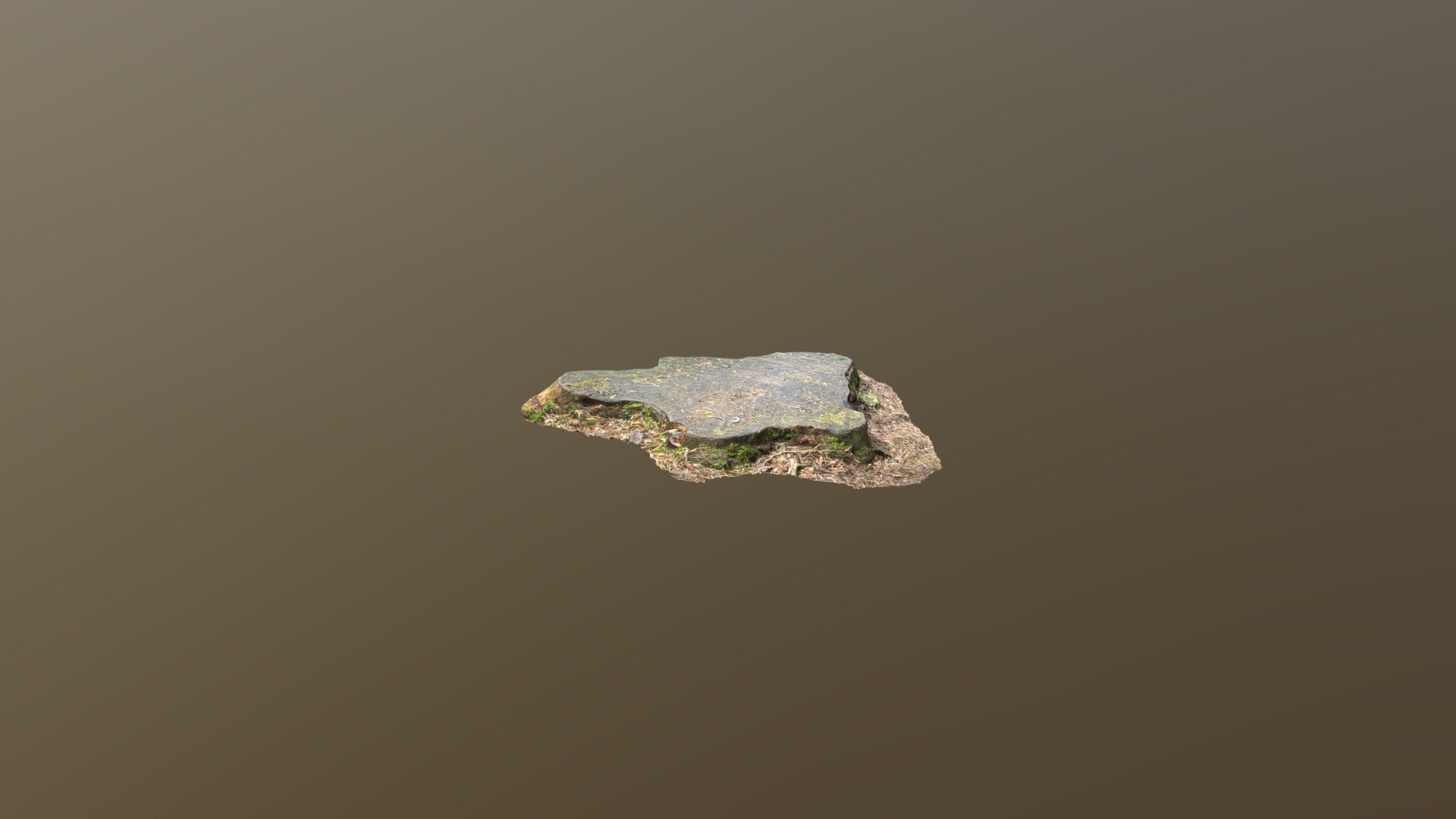 Tree Stump Ireland Photoscanned - 3D model by Omnisec [4185ea8] - Sketchfab