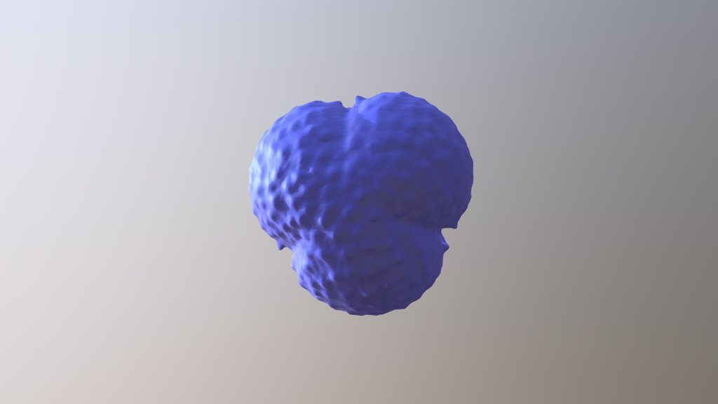3D Pollen models - A 3D model collection by 3D Pollen Project ...
