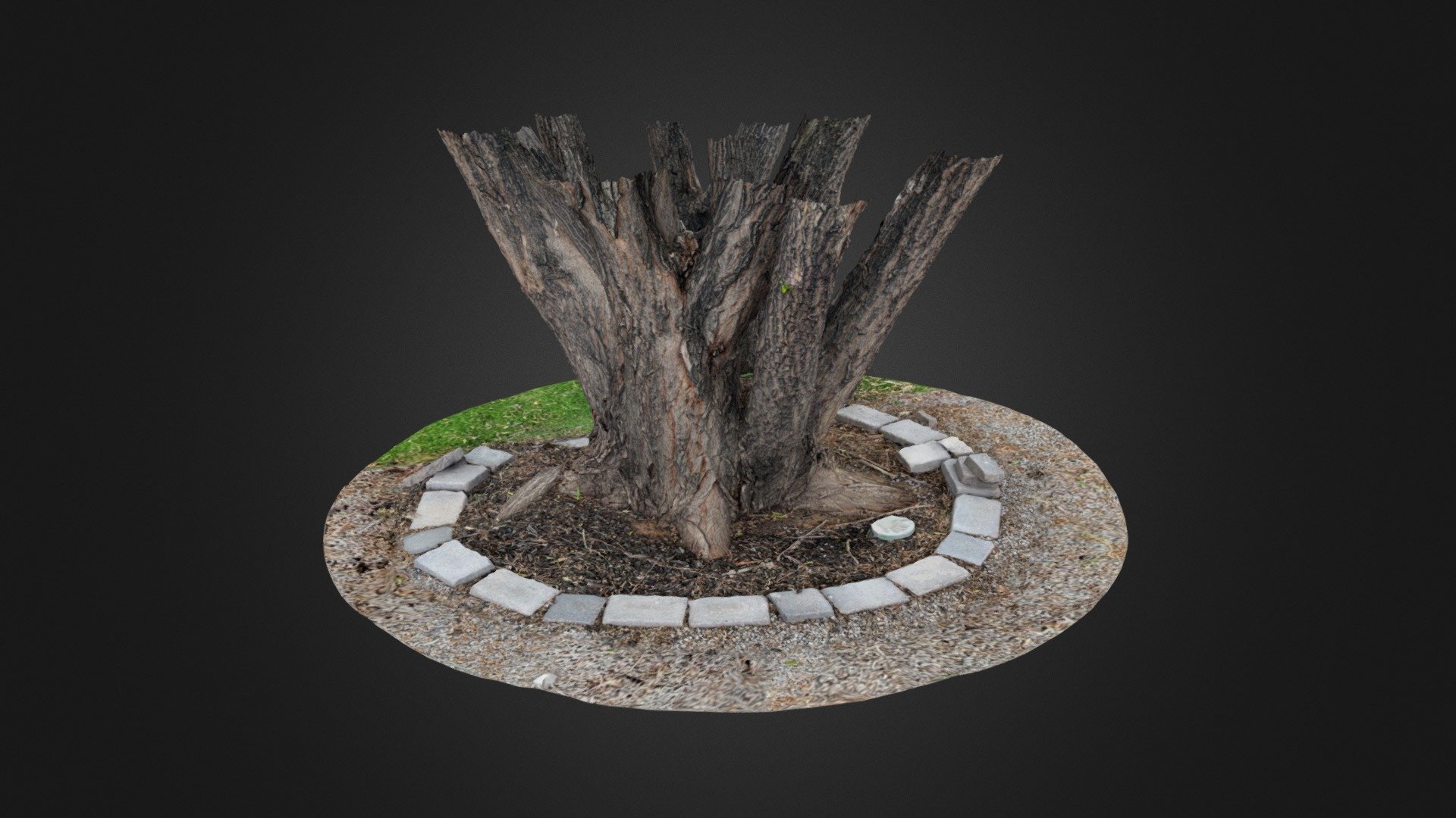 Tree trunk - Download Free 3D model by metatrox [418e6cb] - Sketchfab