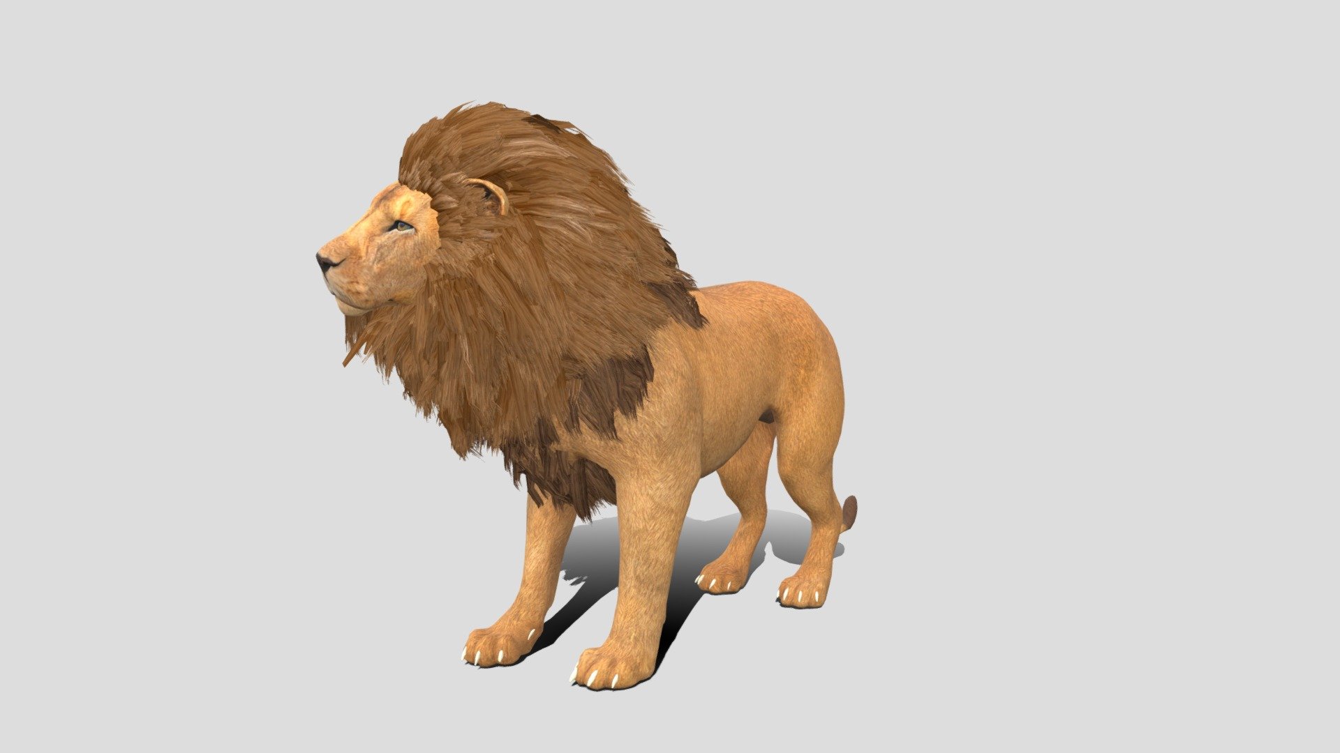 lion from COTW game - Download Free 3D model by Game-animal ripper ...