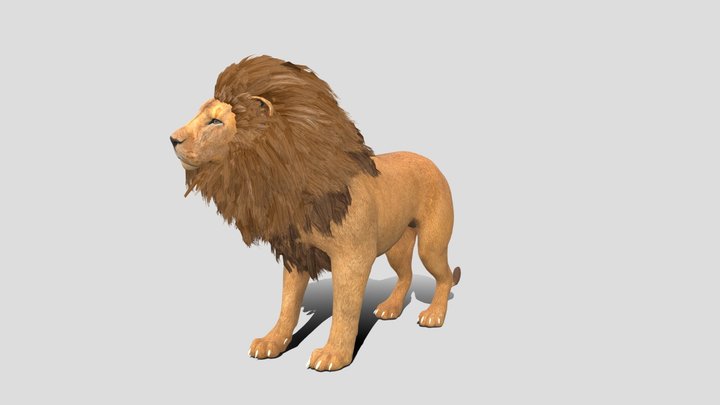 Lion 3D models - Sketchfab