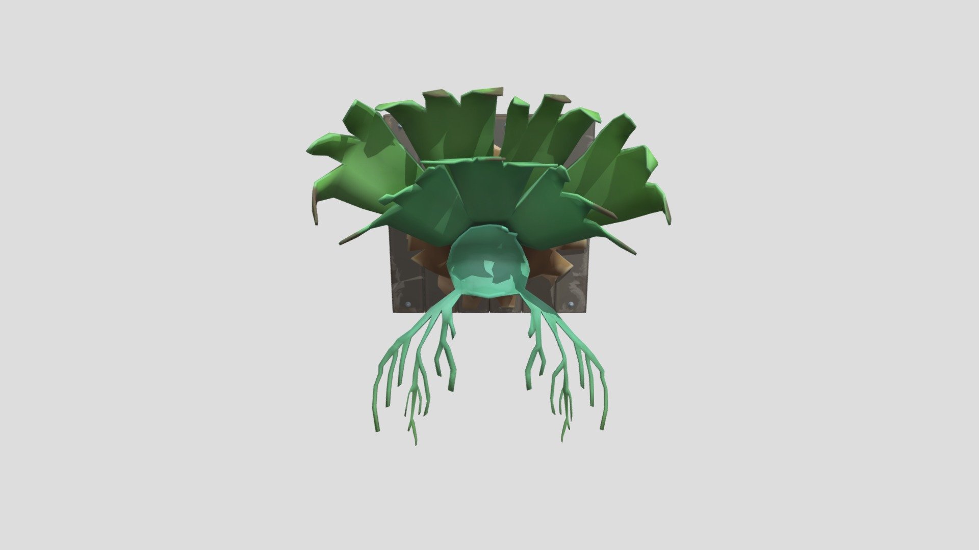 Staghorn Fern 3D Model by Wade Connolly - Download Free 3D model by ...