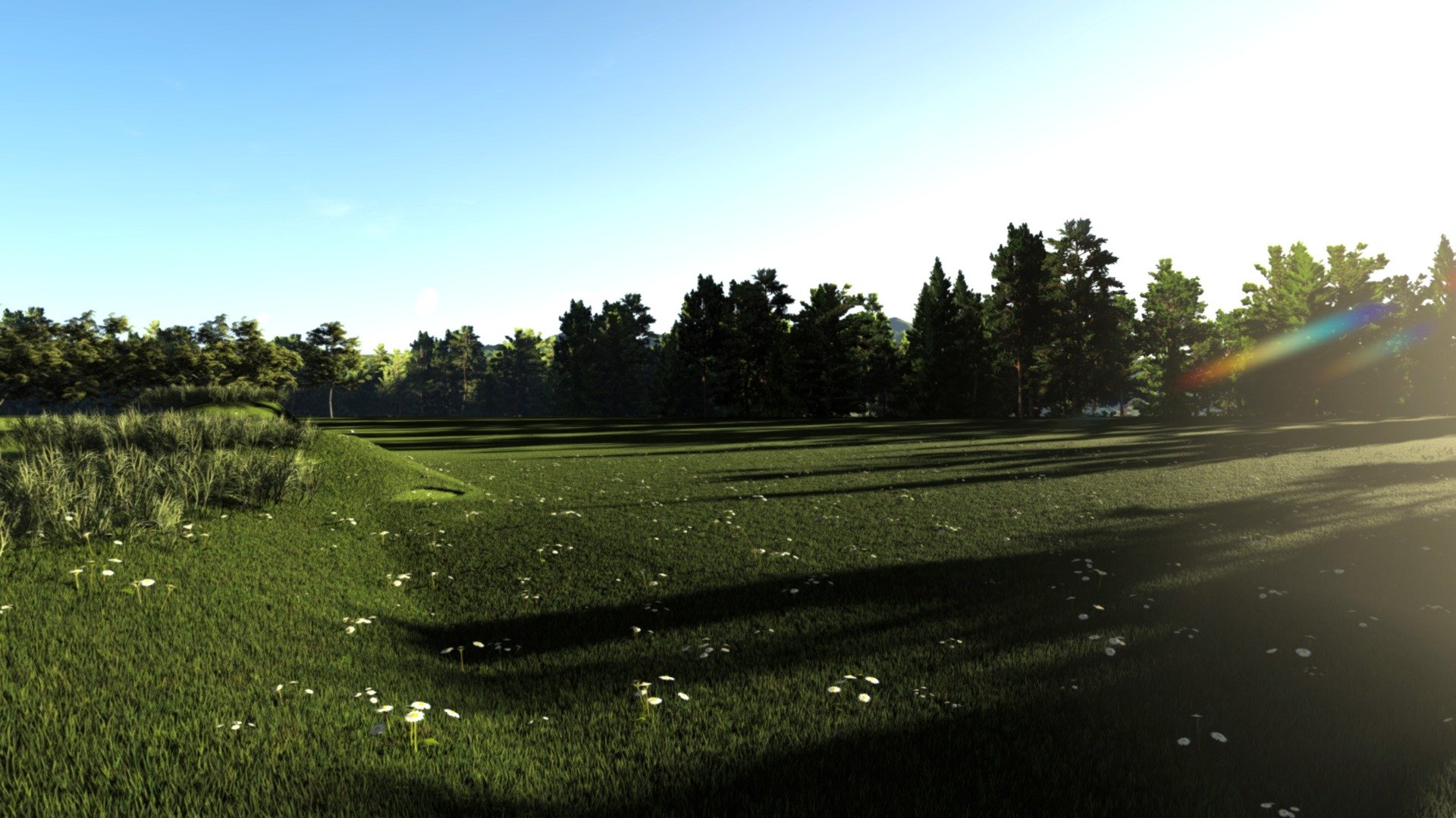 HDRI & SKY BOX 8K _ MORNING IN THE FOREST - Buy Royalty Free 3D model ...