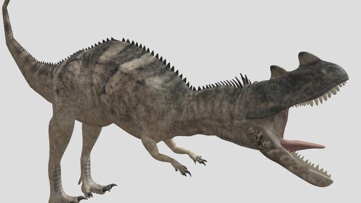 Ceratosaurus 3D models - Sketchfab