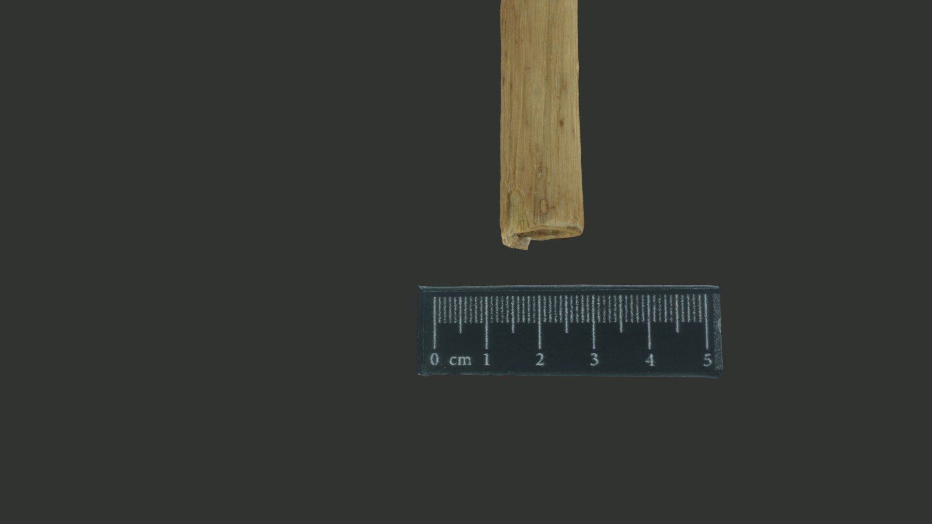 เหงือกปลาหมอ scale bar - Download Free 3D model by 65201101047 [41b44cd ...