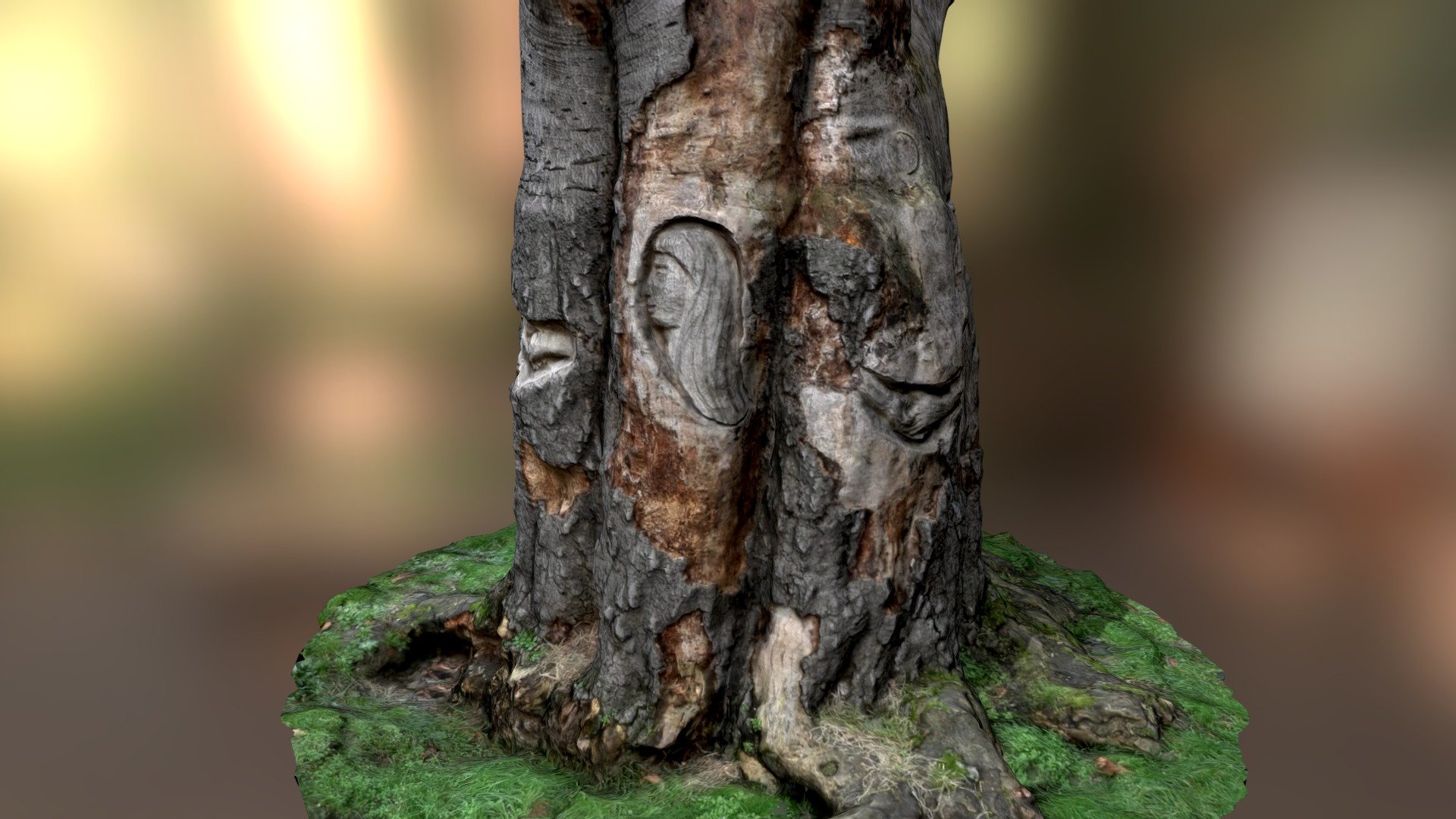 N052_Carved tree - 3D model by bimage [41b4e3b] - Sketchfab