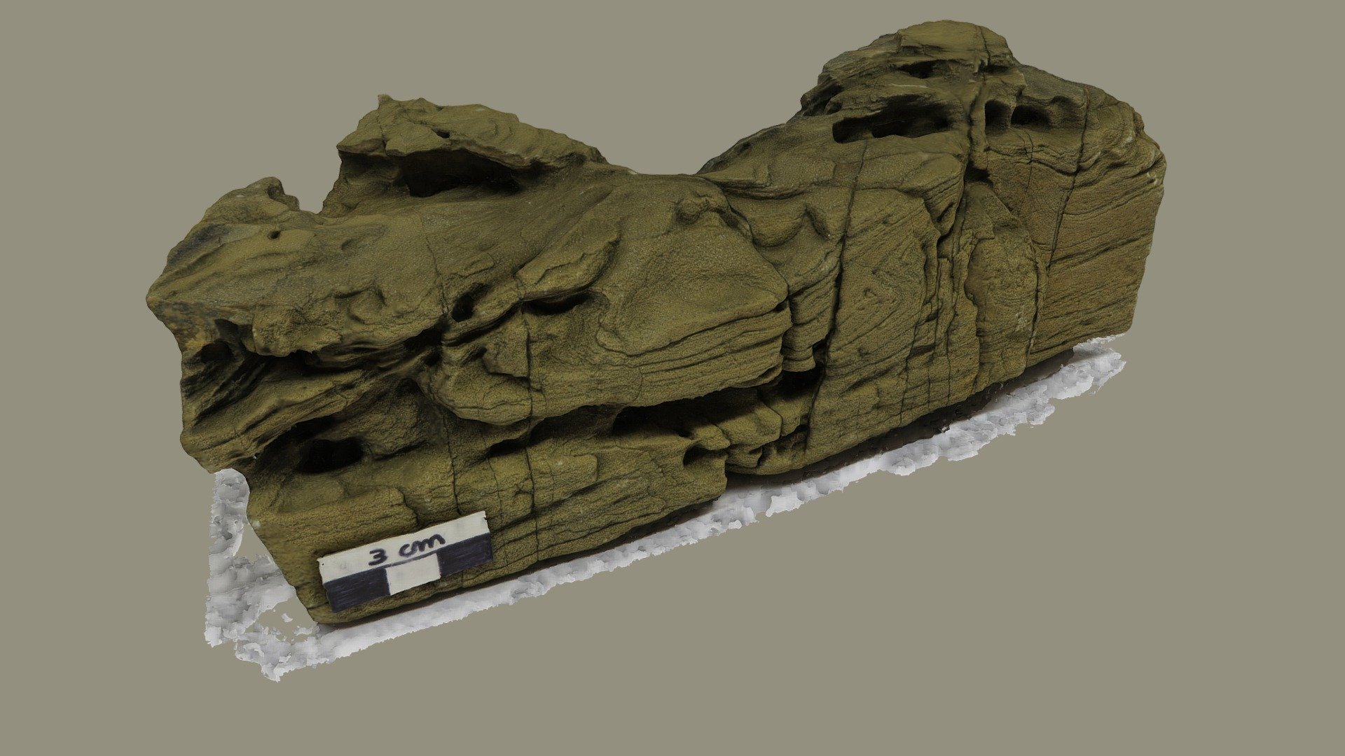 Convolute bedding, Italy - Download Free 3D model by Sara Carena ...
