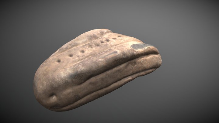 Sponge-spicules 3D models - Sketchfab