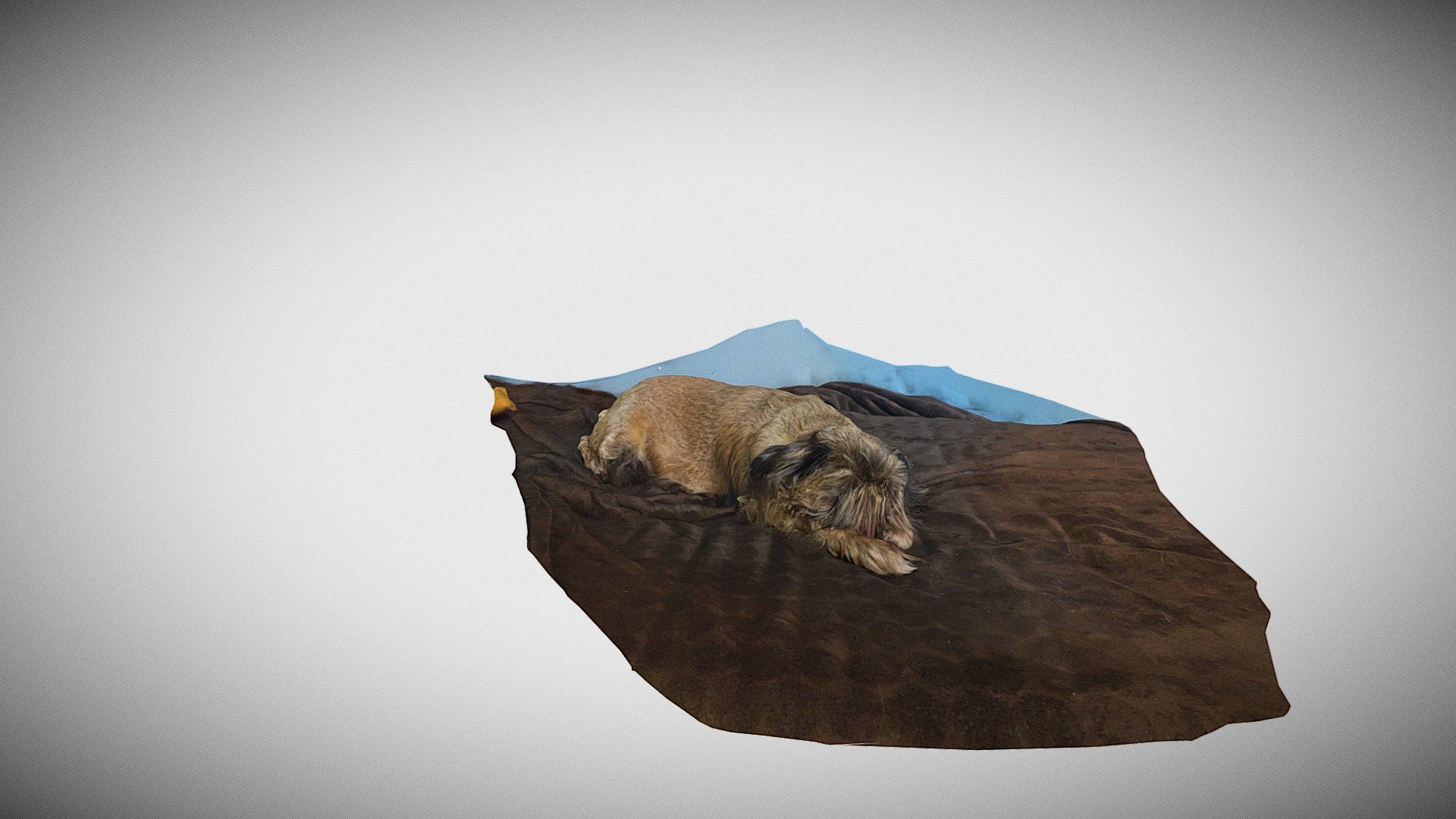 Dog(3d scan) - Download Free 3D model by Stokissout [41db193] - Sketchfab