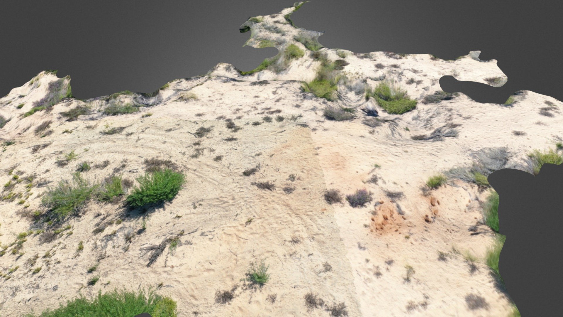 Conchal 2 - 3D model by trodriguez5 [41de114] - Sketchfab